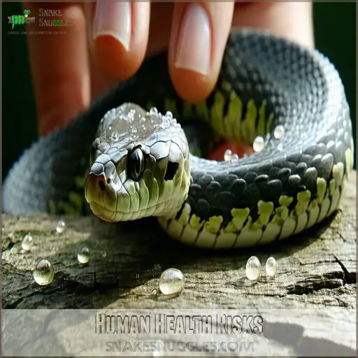 Common Pet Snake Parasites and Worms: a Quick Guide