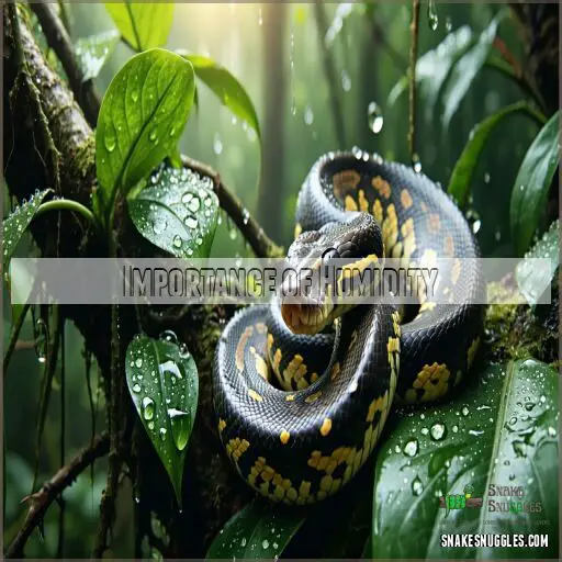 Ideal Temperature and Humidity for Pet Snakes: Expert Care Guide 2025 🐍