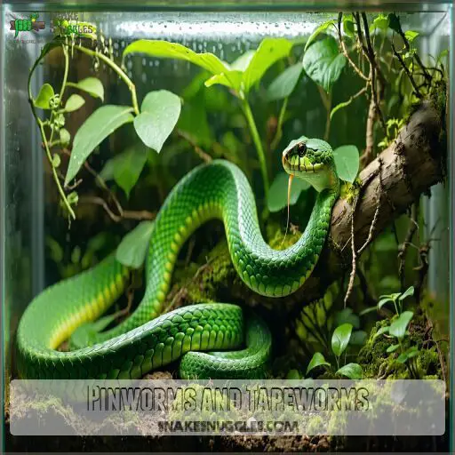 Common Pet Snake Parasites and Worms: a Quick Guide