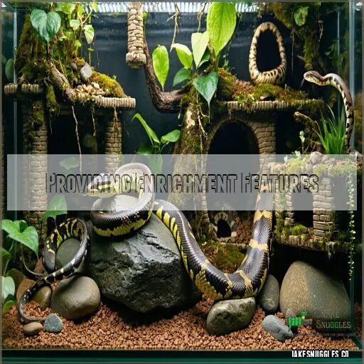 Custom Snake Enclosure Build Guide: Design Your Perfect Reptile Home in ...