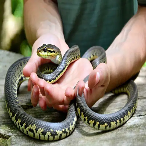Reptile Handling Safety: 10 Expert Tips to Prevent Bites & Keep Pets Happy