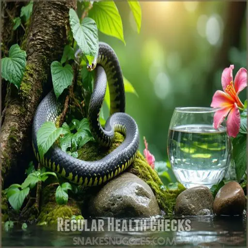 How to Boost Snake Immune System With Nutrition and Clean Habits