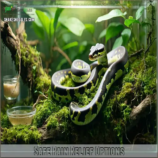 Safe Pain Relief Options for Pet Snakes: a Vet's Guide to Natural ...