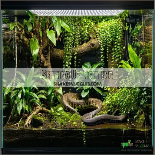 Setting Up a Bioactive Boa Constrictor Terrarium: Step-by-Step Guide