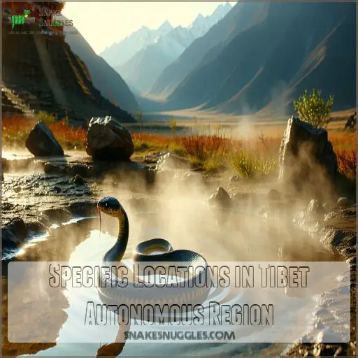 Tibetan Hot Spring Snake: Survival Secrets of Earth's Most Bizarre Reptile