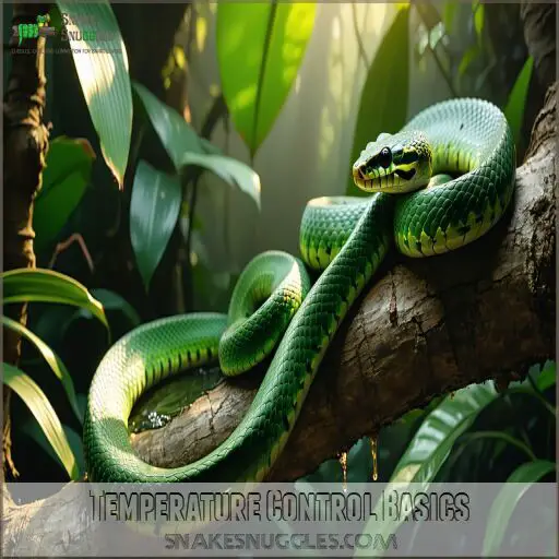Ideal Temperature and Humidity for Pet Snakes: Expert Care Guide 2025 🐍
