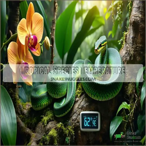 Ideal Temperature and Humidity for Pet Snakes: Expert Care Guide 2025 🐍