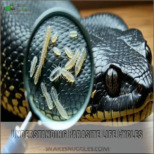 Snake Parasite Control Methods: 5 Proven Ways to Protect Your Pet Today