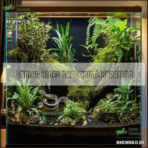 DIY Bioactive Terrarium Build for Ball Python: Step-by-Step Guide