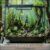 Safe Plants for a Snake Terrarium: Non-Toxic Options for Any Habitat