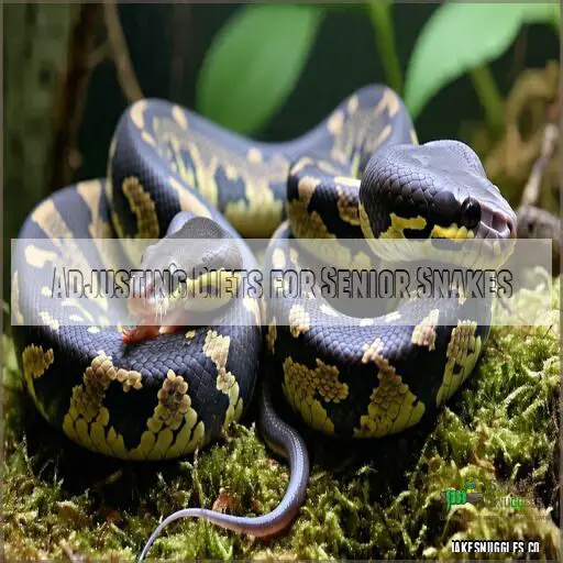 Best Diet for Pet Snakes: Expert Guide to Optimal Nutrition