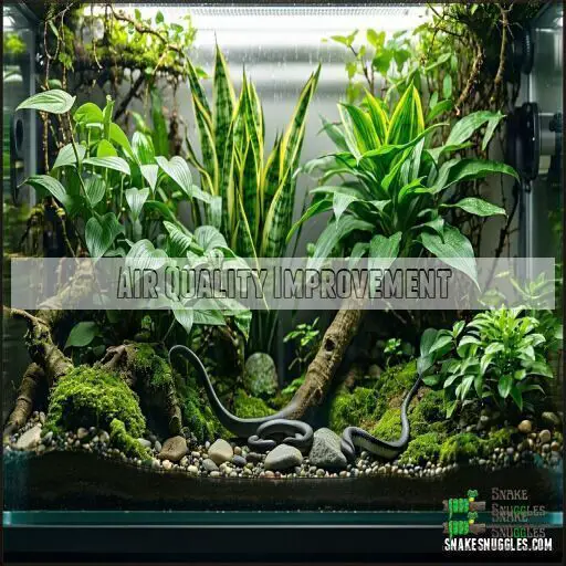 Safe Plants for a Snake Terrarium: Non-Toxic Options for Any Habitat
