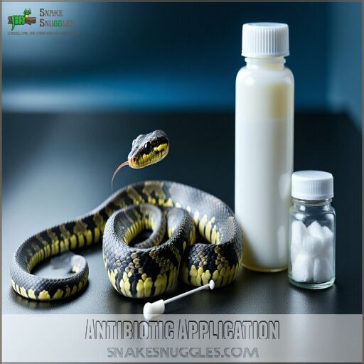 Treating Scale Rot in Corn Snakes: 5 Expert Tips That Work Fast & Save ...