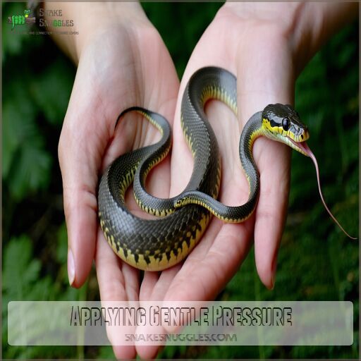 How to Safely Pick Up Pet Snake: Expert Tips for Beginners