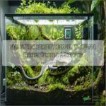 Ball Python Habitat Setup: Build The Perfect Home for Your Snake