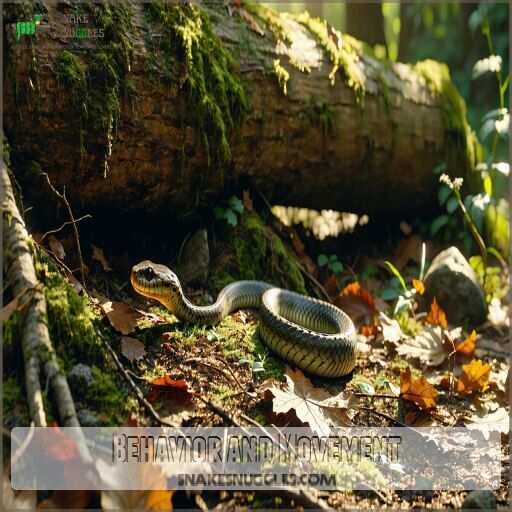 Where Do Copperheads Hide During The Day? 10 Secret Spots Revealed!