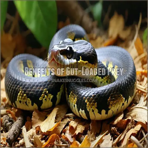 Best Diet for Pet Snakes: Expert Guide to Optimal Nutrition