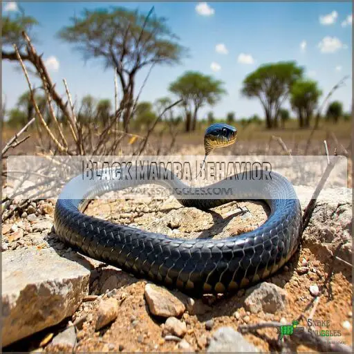 Venomous Snakes: Deadliest Species, Bites, and Prevention Tips