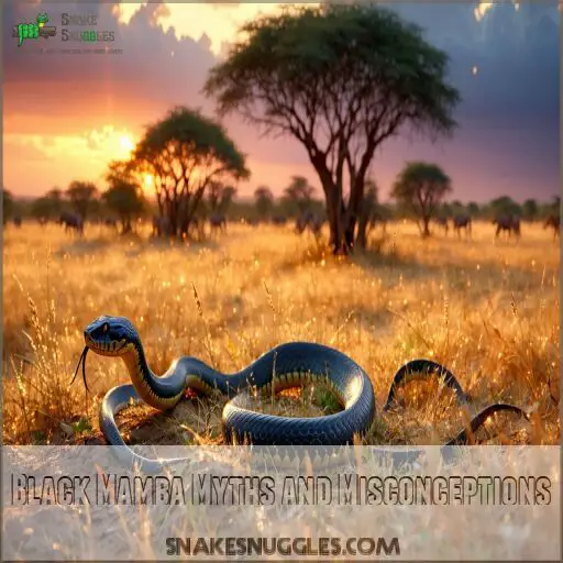 Black Mamba Range Africa: Habitat, Venom, Speed, and Myths Explained