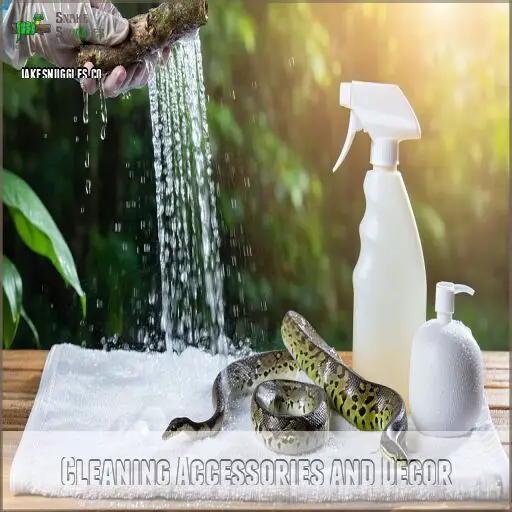 Safe Ways to Clean a Snake Enclosure: Tips for Hygiene and Happy Snakes