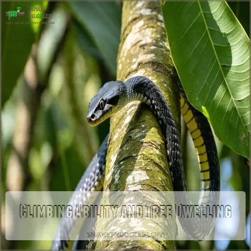 Black Mamba Range Africa: Habitat, Venom, Speed, and Myths Explained