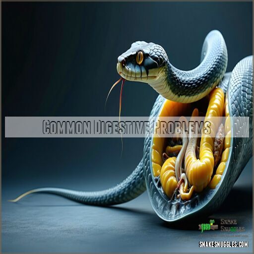 Common Snake Digestive Issues: Signs, Causes, and Prevention Tips