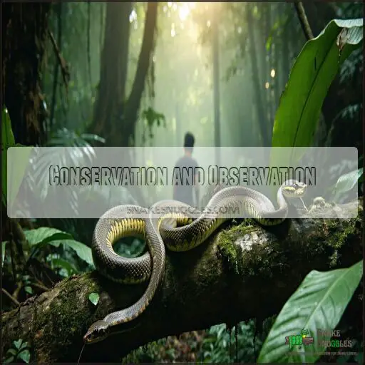 List of Snakes That Give Live Birth: 18 Species You Won't Believe Exist!