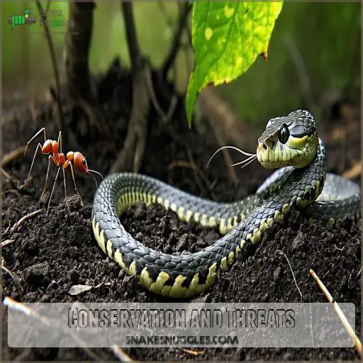 Snakes That Look Like Worms: Facts, Behavior, and Why They Fascinate