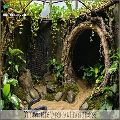 Setting Up a Snake Enclosure: Expert Tips for a Perfect Snake Habitat