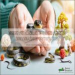 Cutest Pet Snake Breeds With Pictures: Adorable Reptiles You'll Love