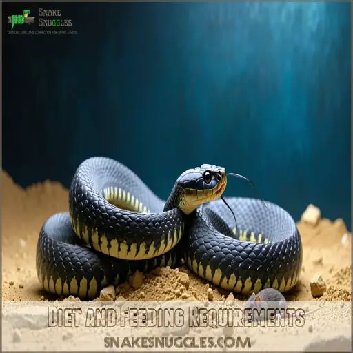 Mexican Black Kingsnake Care: Setup, Diet, Health, and Maintenance Tips