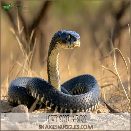 Black Mamba Range Africa: Habitat, Venom, Speed, and Myths Explained