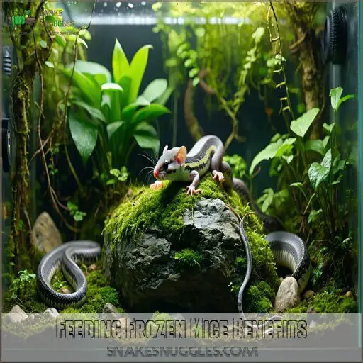 Feeding Snakes Frozen Mice: Snake Owner's Safety Guide!