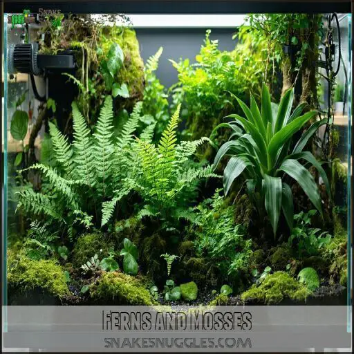 Safe Plants for a Snake Terrarium: Non-Toxic Options for Any Habitat