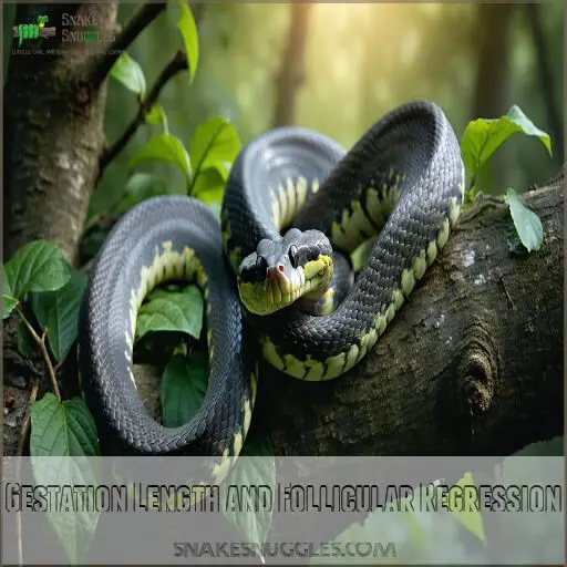 Do Boa Constrictors Lay Eggs? The Truth About These Amazing Snakes