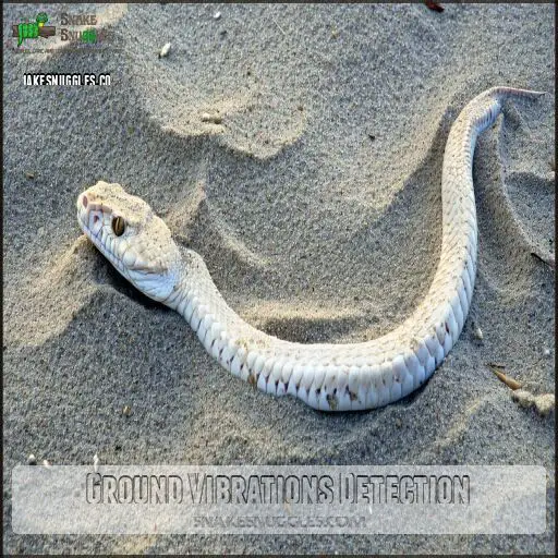 How Do Snakes Detect Prey? 5 Powerful Senses That Make Them Deadly