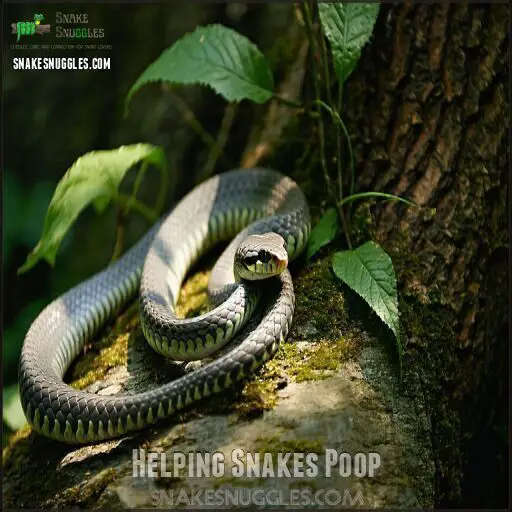 How Do Snakes Poop? Facts, Tips & Secret Details You Never Knew! (2025 ...