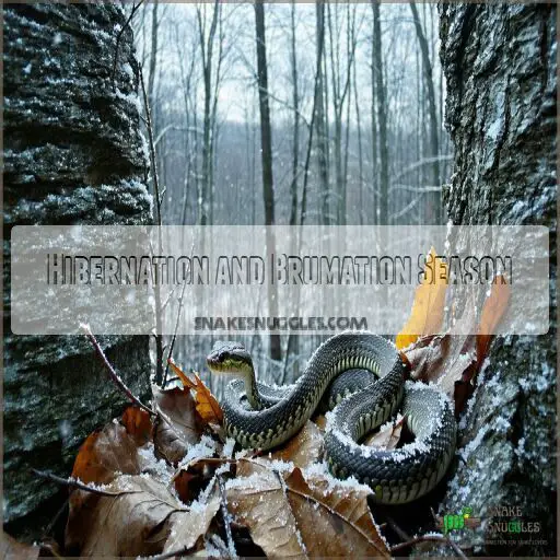 Where Do Copperheads Hide During The Day? 10 Secret Spots Revealed!