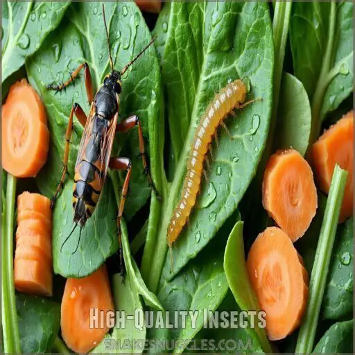 Reptile Food Guide for Beginners: Eat Right