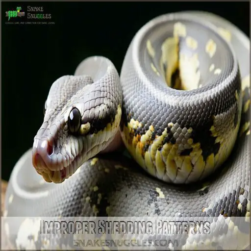 Signs of a Sick Pet Snake: Shedding Problems and Warning Symptoms