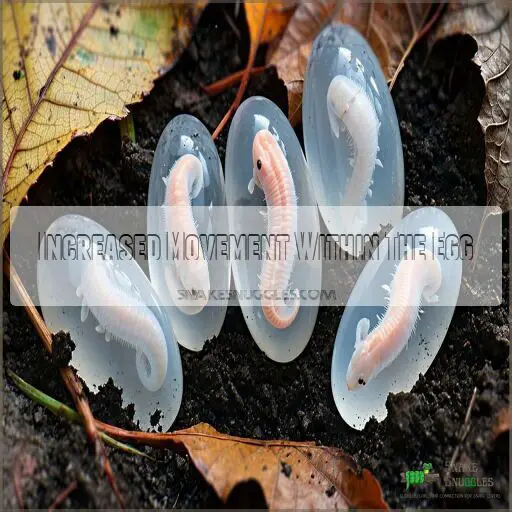 How Do Snake Eggs Hatch? Amazing Facts & Expert Tips (2025 Guide)