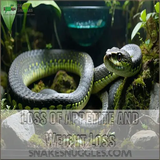 Common Snake Digestive Issues: Signs, Causes, and Prevention Tips