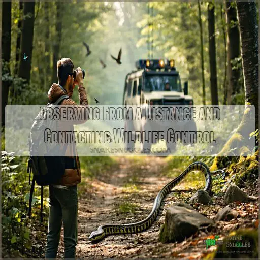 Law on Killing Snakes by State: Rules, Penalties, and Exceptions