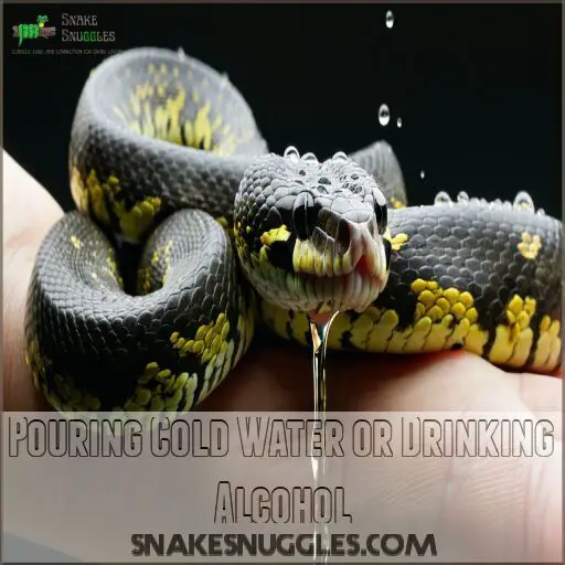 Are Ball Python Bites Dangerous? Facts, Myths, and What to Do
