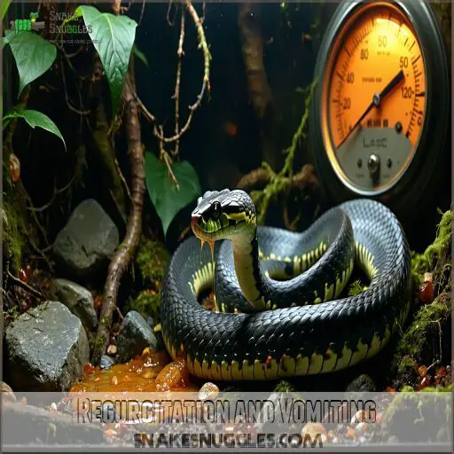 Common Snake Digestive Issues: Signs, Causes, and Prevention Tips