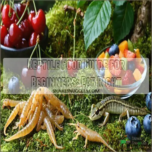 Reptile Food Guide for Beginners: Eat Right