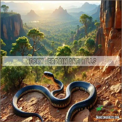 Black Mamba Range Africa: Habitat, Venom, Speed, and Myths Explained