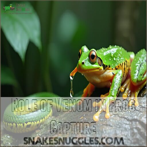 Do Snakes Eat Frogs? Amazing Facts About This Predator-Prey Relationship