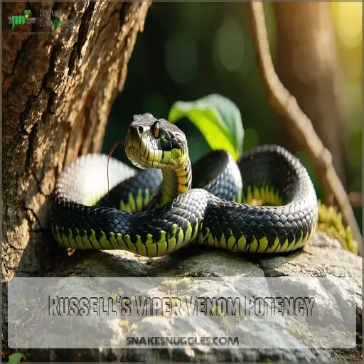 Venomous Snakes: Deadliest Species, Bites, and Prevention Tips