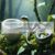 Safe Cleaning Products for Snake Enclosures: a Complete Guide to ...